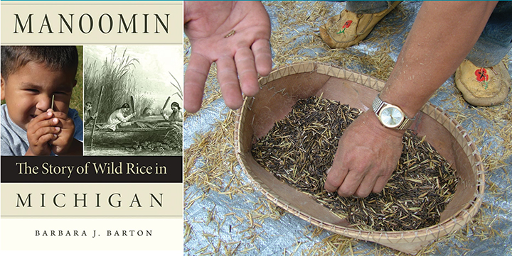 Wild rice lecture Thursday at GLMHC | News, Sports, Jobs - The Alpena News